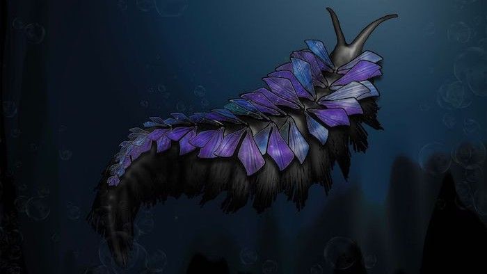 500 million-year-old worm with 'shuriken' spikes named after gigantic ...