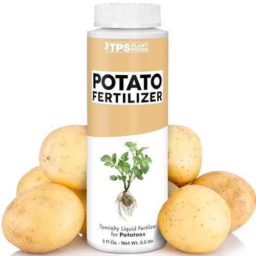 How to fertilize potatoes: expert tips for feeding crops | Homes and ...