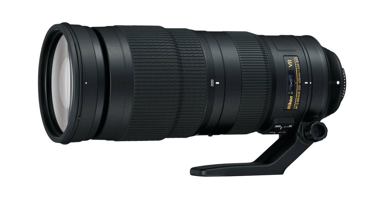 The best lenses for bird photography in 2025 | Digital Camera World