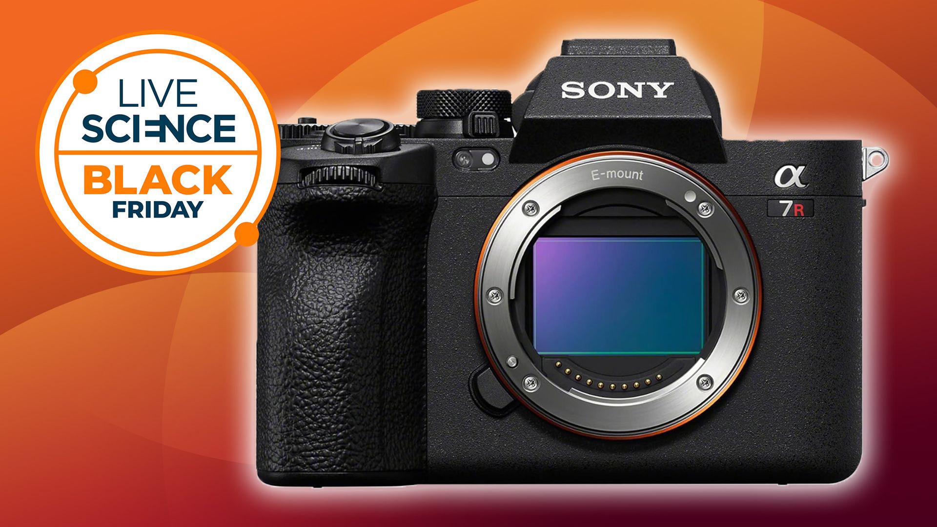 Want reliable autofocus? Massive $600 off this epic camera at Walmart ...