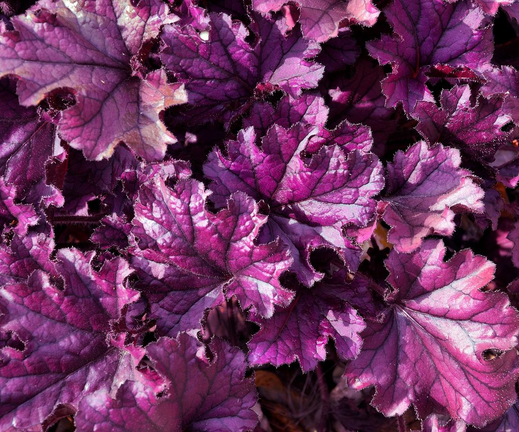 Best fall containers: 16 easy options for potted stunners | Homes & Gardens