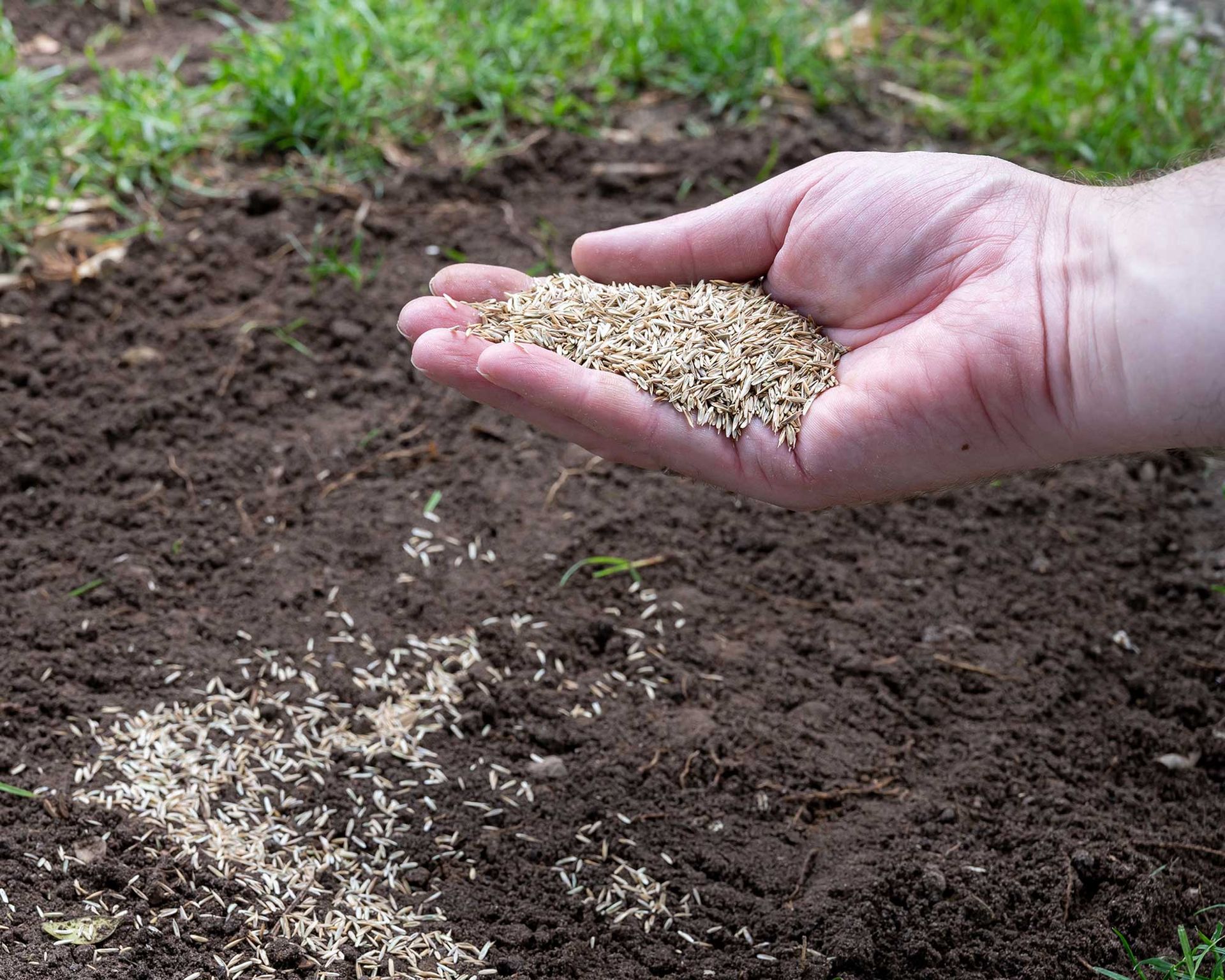 Lawn care tips: 12 essential tasks for healthy turf | Gardeningetc