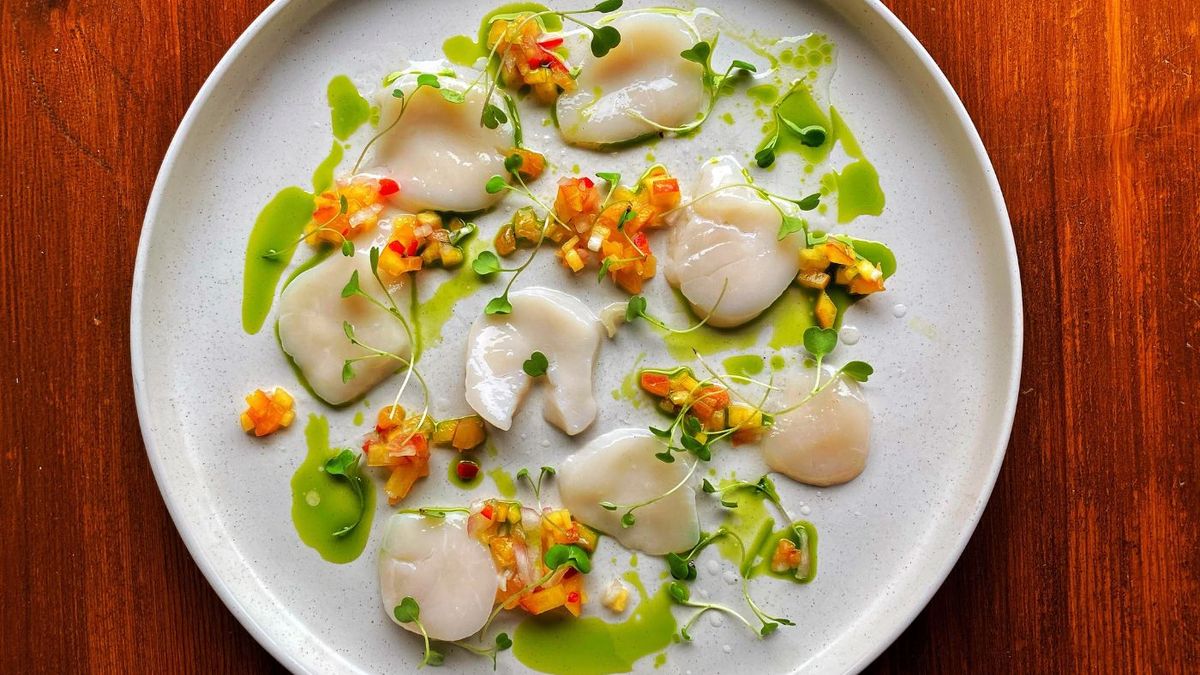 Fish & Forest restaurant review, York UK | The Week