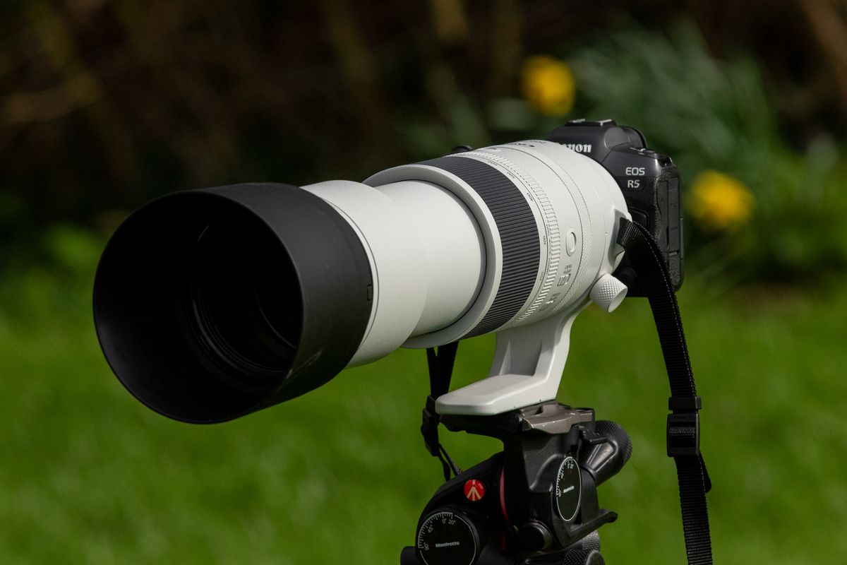 Get better bird photos with Canon's RF 200-800mm super telephoto lens ...