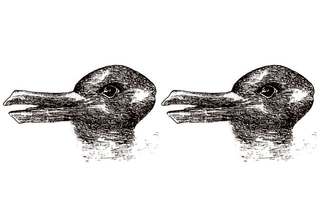 35 optical illusions and why they trick your brain | Live Science