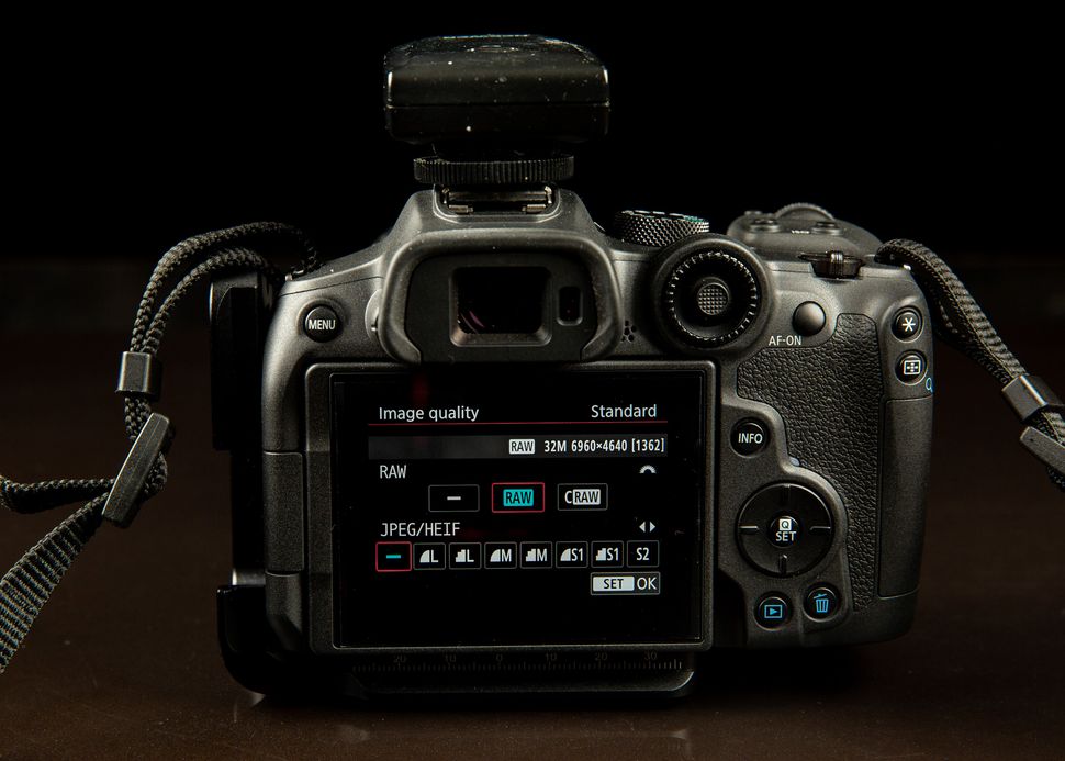 10 tips for superb close-ups: how to shoot macro with studio lighting ...