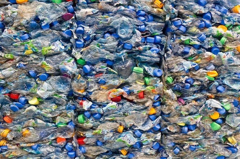 Plastic-Munching Bacteria Can Make Trash Biodegradable | Live Science