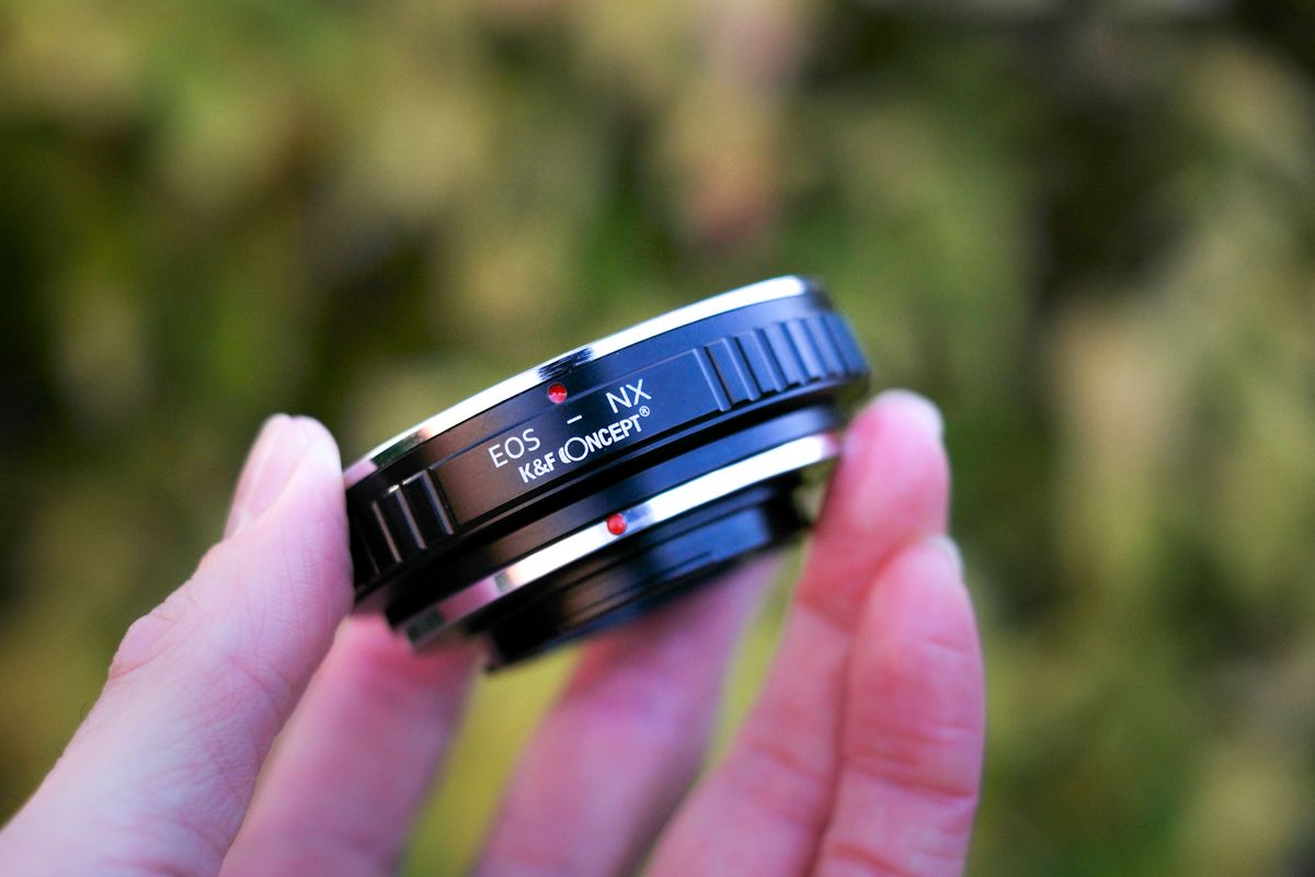 Adapt and conquer! Learn to use lens adaptors the right way | Digital ...