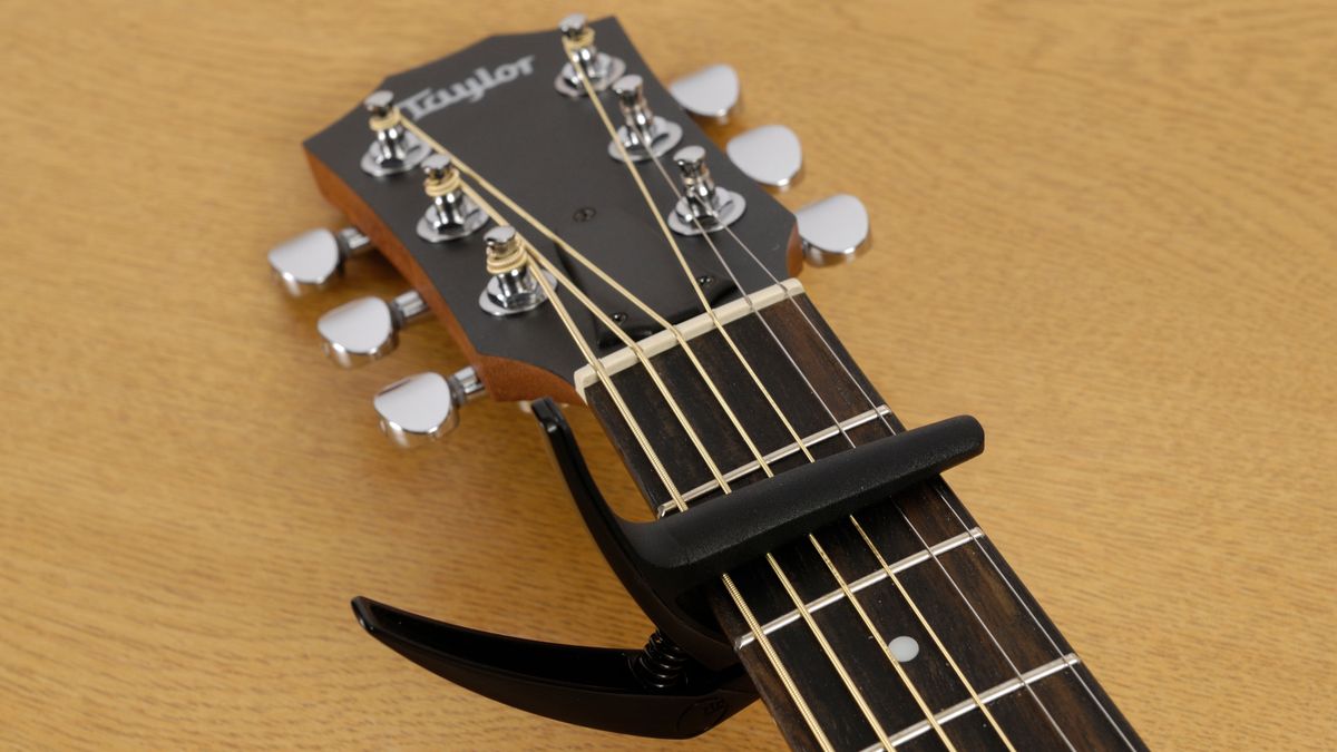 “It Was Like Coming Full Circle to Honor Libba Cotten”: Peter Rowan ...