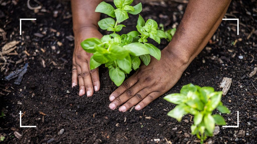 Do you know your soil type? Experts explain the importance | Woman & Home