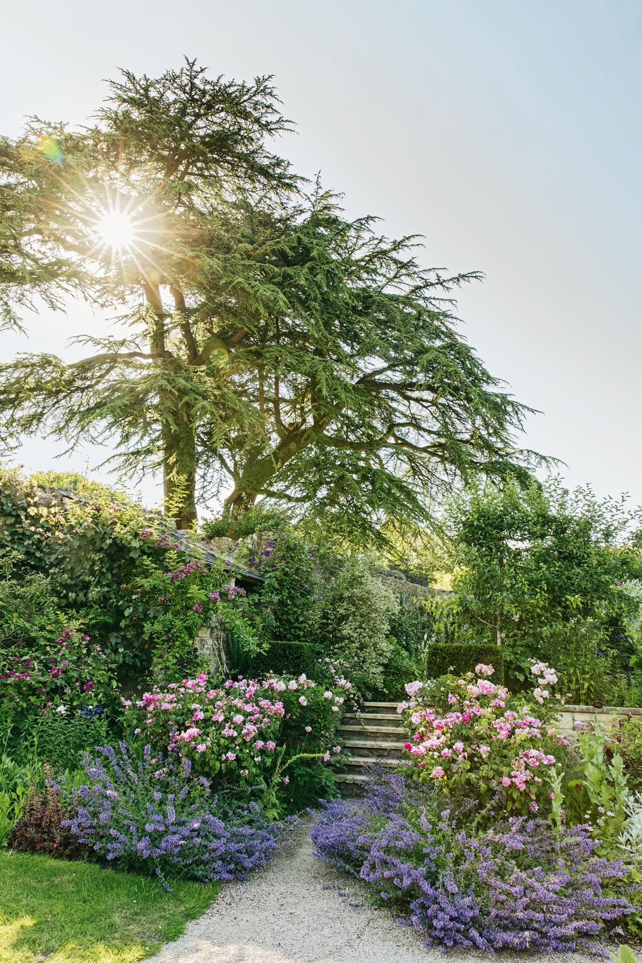 Batcombe House: The 'essential Somerset garden' with a gloriously wild ...