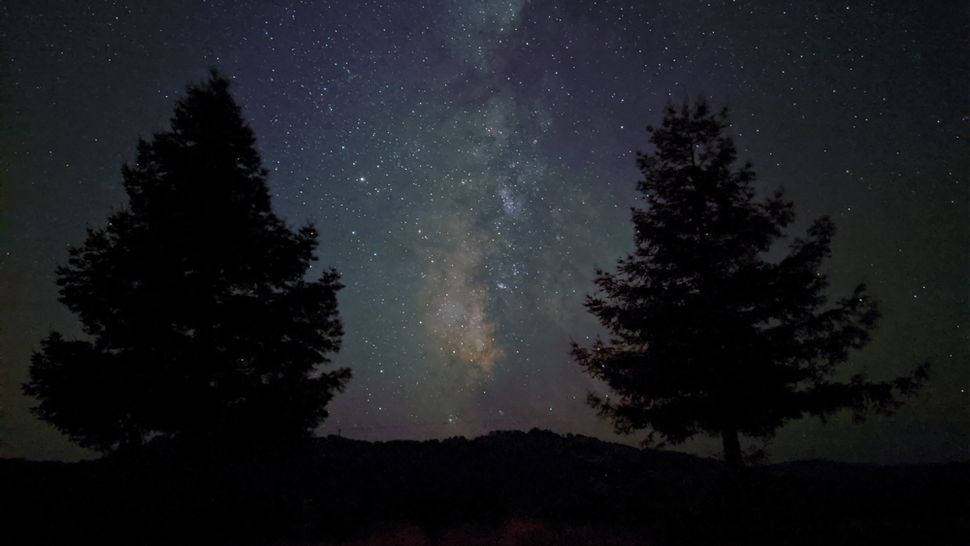 Google Pixel 4 camera: the ultimate guide for designers | Creative Bloq