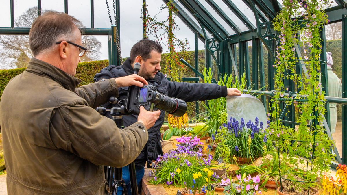 10 tips for amazing close-up photos of flowers with a Canon EOS camera ...