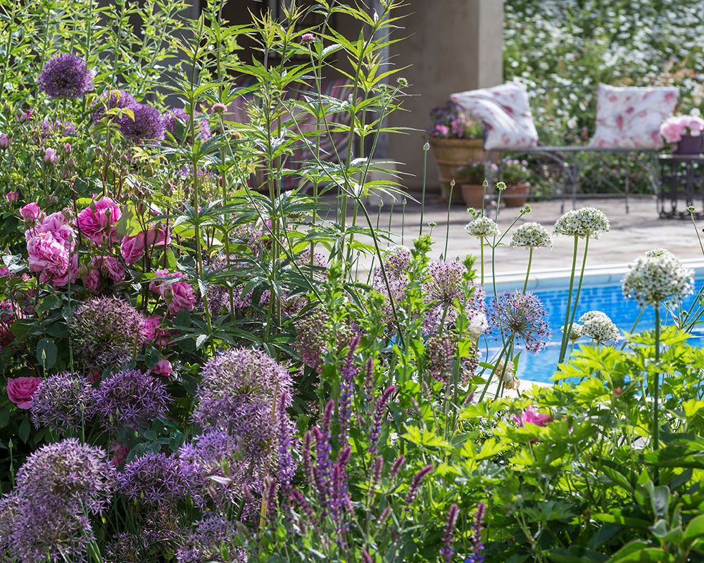 A Wiltshire garden with form and flair | Homes and Gardens