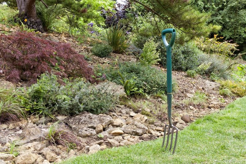 Tips & Information about Gardening Tools | Gardening Know How