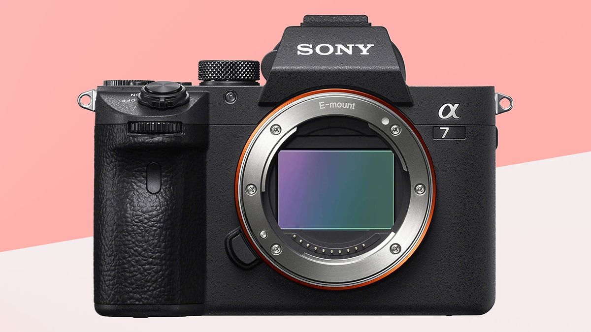The most exciting cameras of 2021 | TechRadar