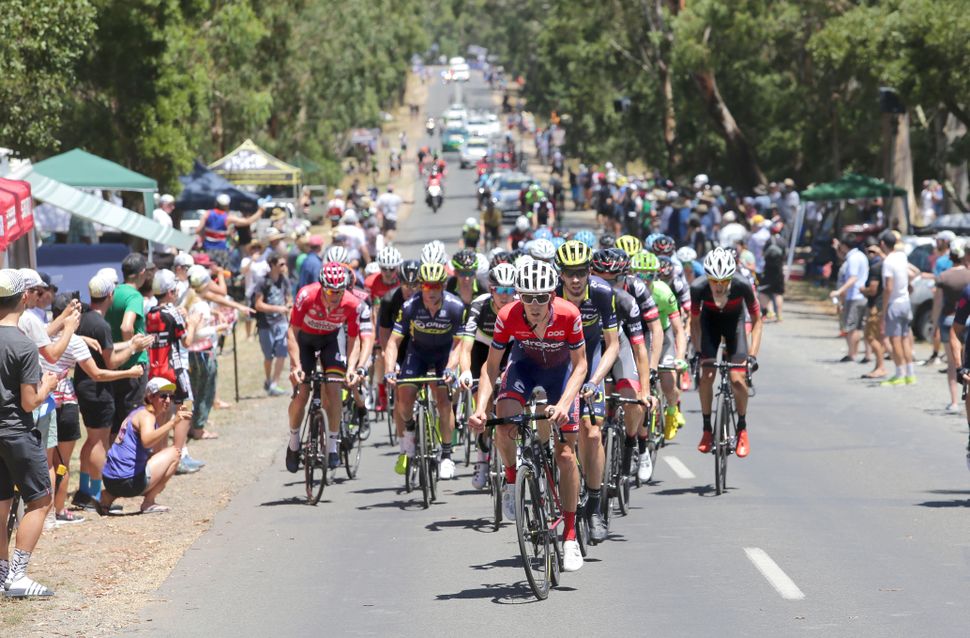 Cycling Australia Road National Championships 2017: Elite men's road ...