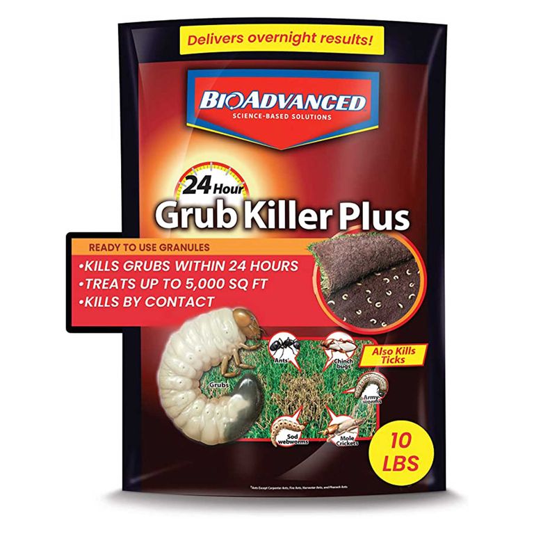 How to get rid of lawn grubs naturally: protect your turf | Gardeningetc