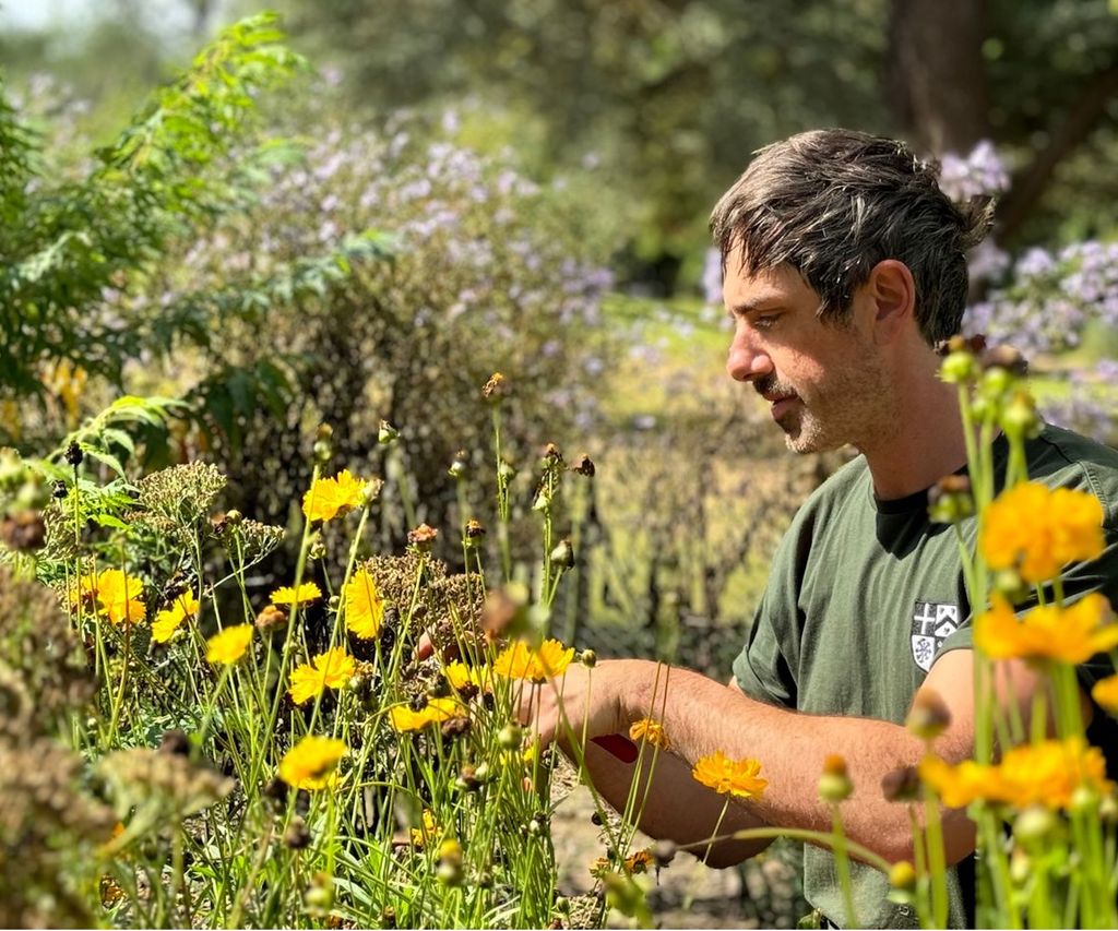 3 plants for natural dye and how to use them | Homes and Gardens