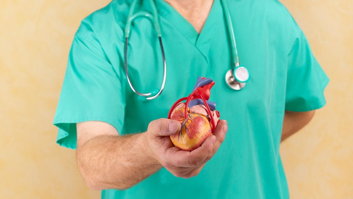 Human heart: Anatomy, function & facts | Live Science