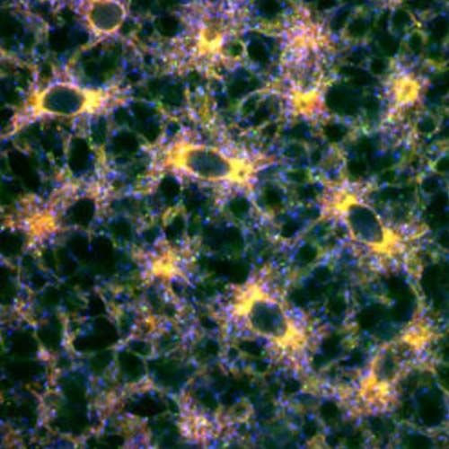 5 Ways Your Cells Deal With Stress | Live Science