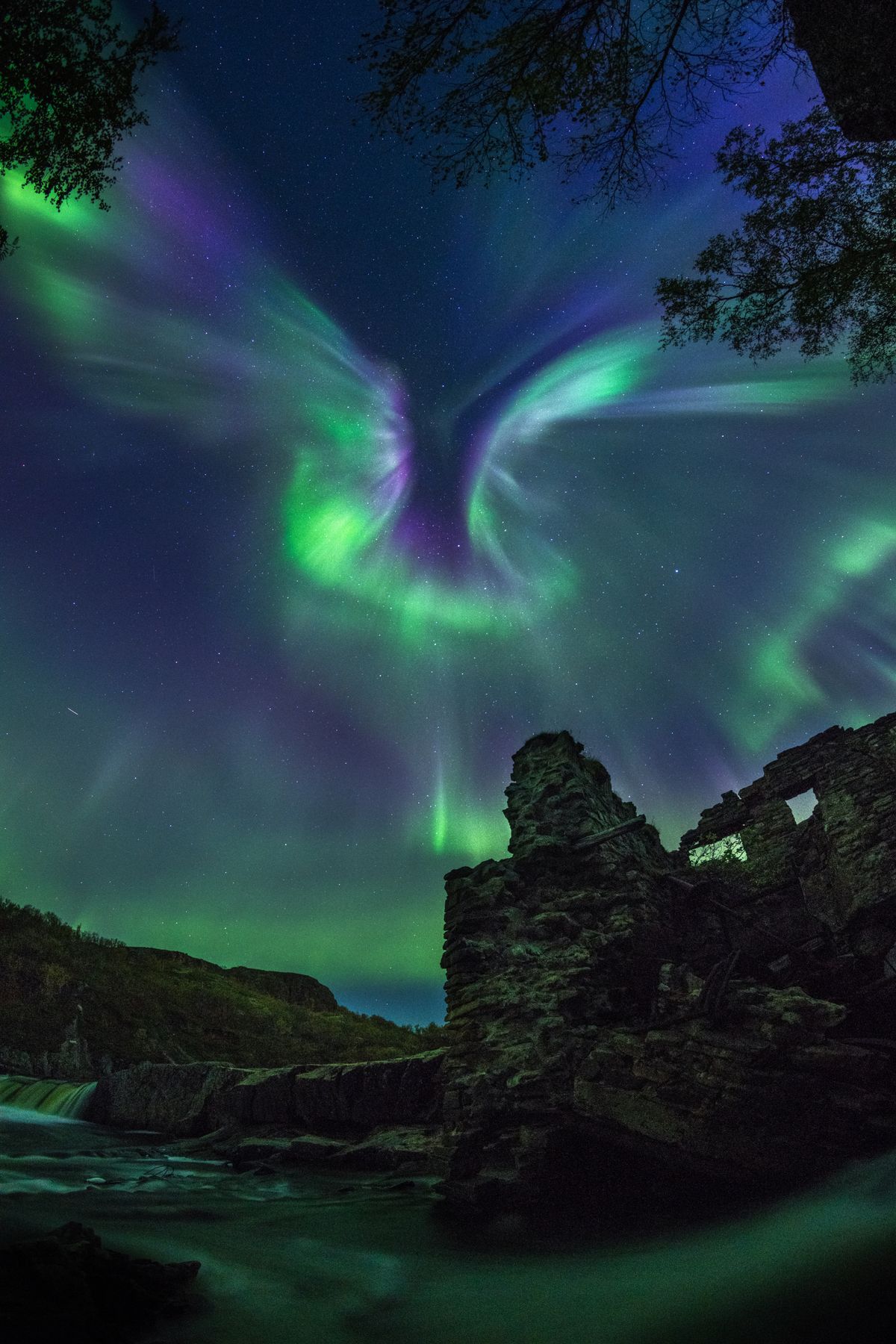 In Images: Rising 'Phoenix' Aurora and Starburst Galaxies Light Up the ...