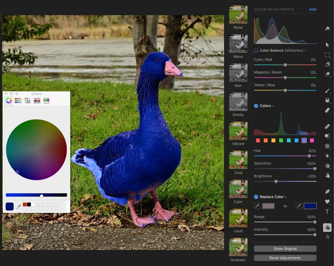 Pixelmator Pro Review: Still a Powerful Bargin | Tom's Guide