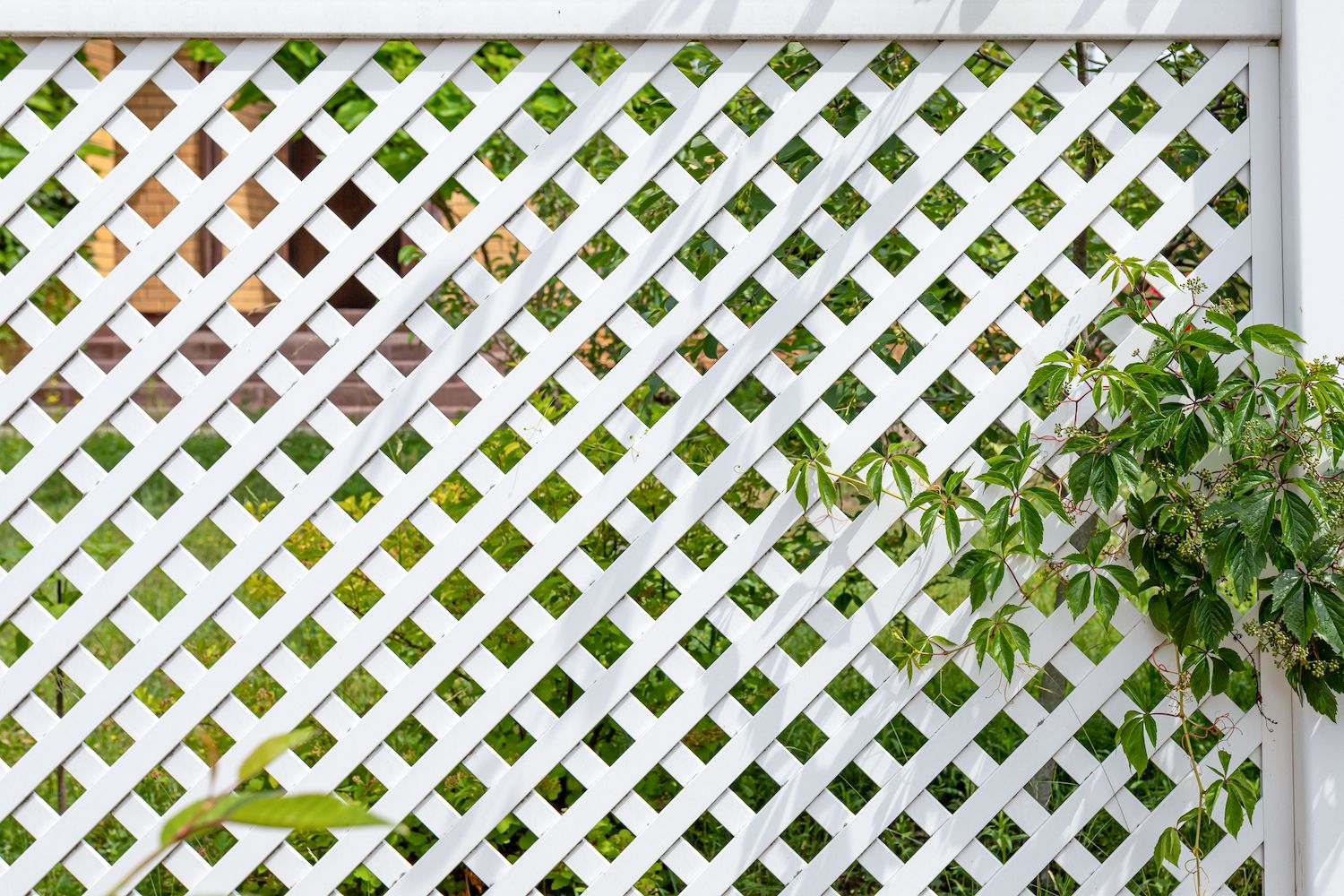 Tall Privacy Fence Ideas — 6 Ways to Screen a Yard Fully | Livingetc