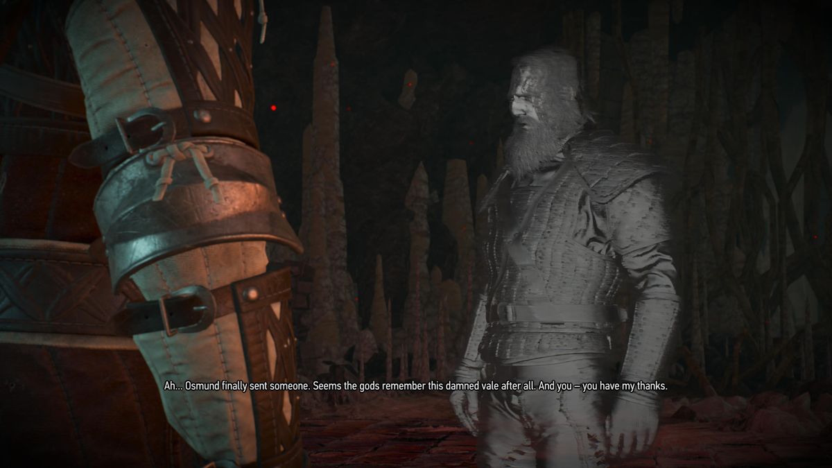 The Witcher 3: How to get the Witcher Netflix series armor | PC Gamer