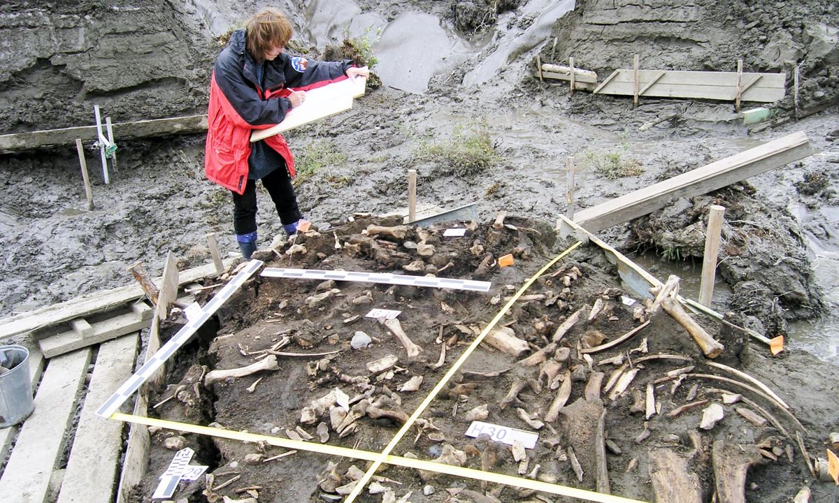 Were ancient Siberians the ancestors of Native Americans? | The Week