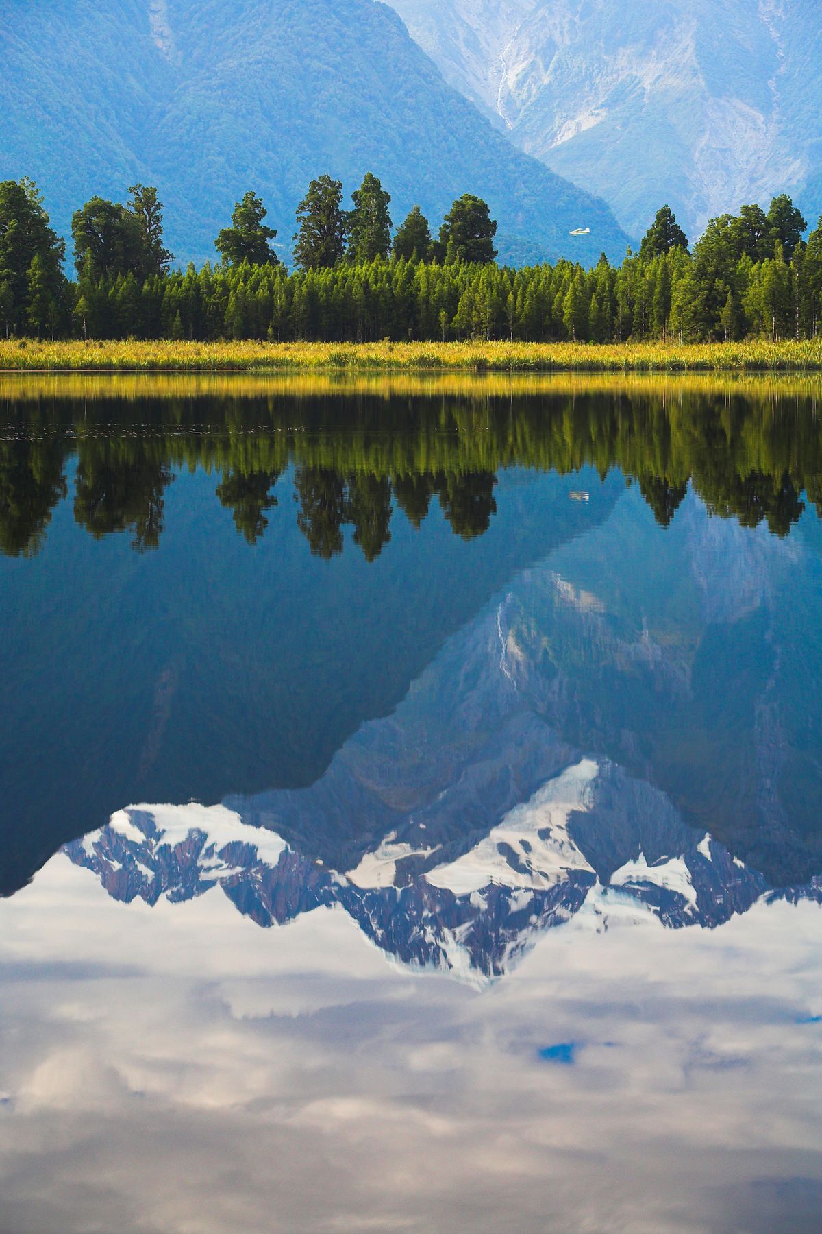 Five quick questions with pro wildlife photographer David Newton ...