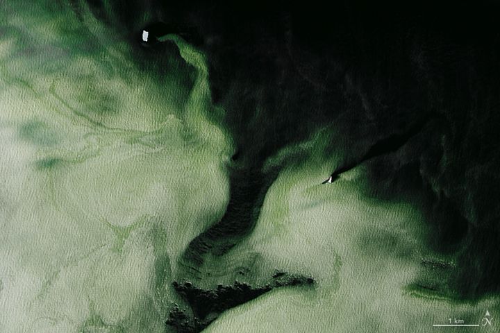Strange Green Ice Seen Floating in Antarctica's Ross Sea | Live Science