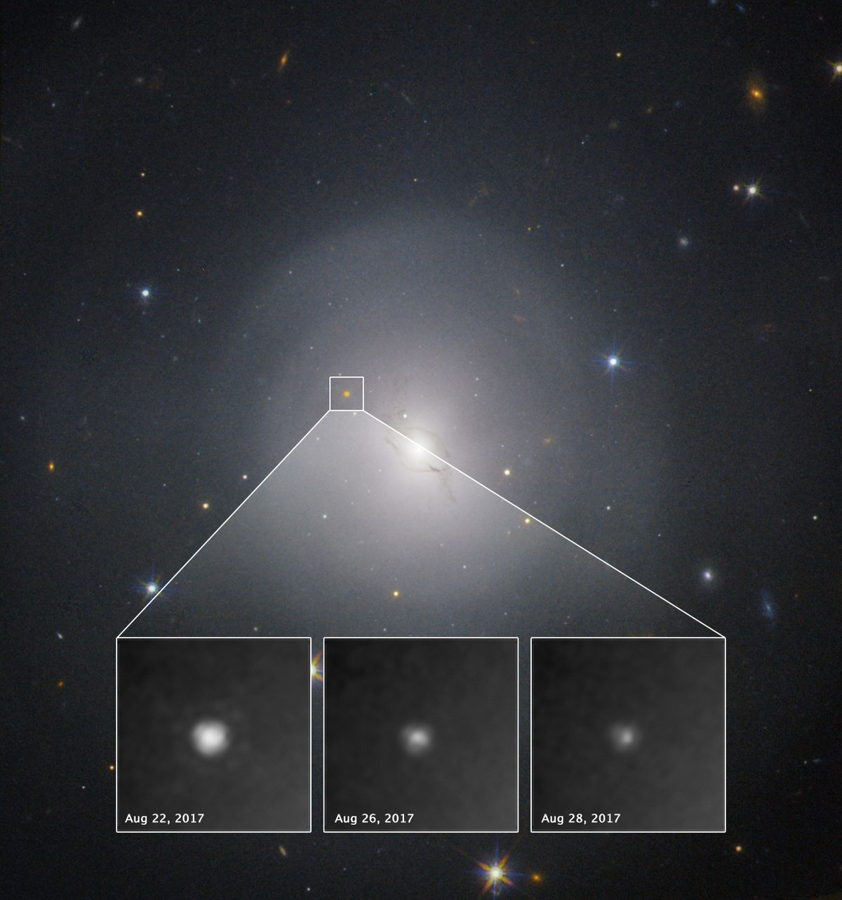 In Images: The Amazing Discovery of a Neutron-Star Crash, Gravitational ...