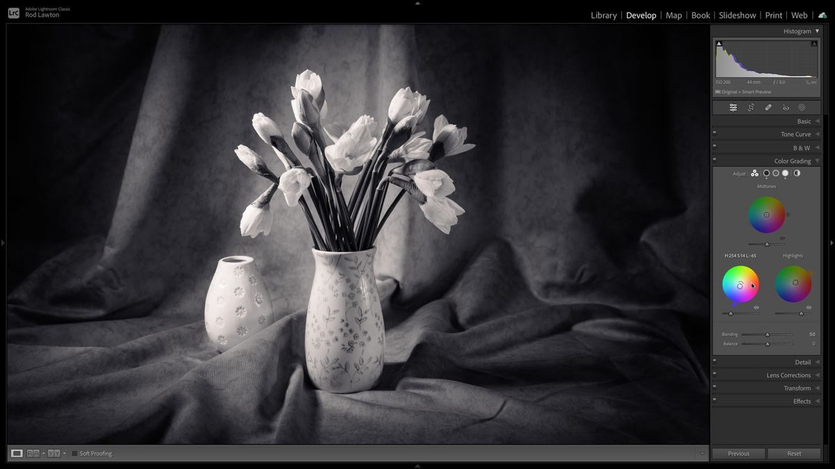 How to get started with black and white photography with a Canon camera ...