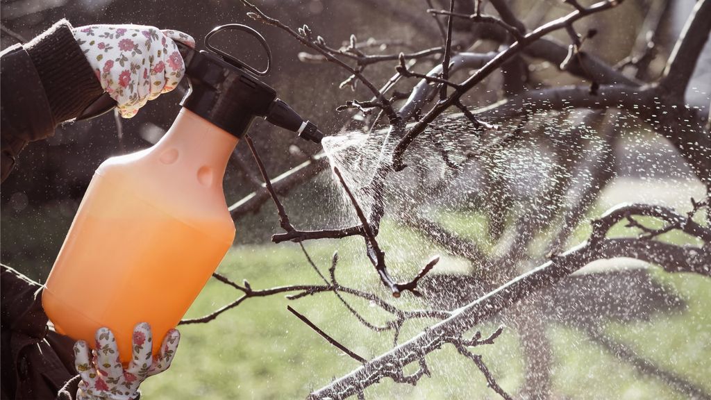A guide to winter washing fruit trees to combat pests | Homes and Gardens