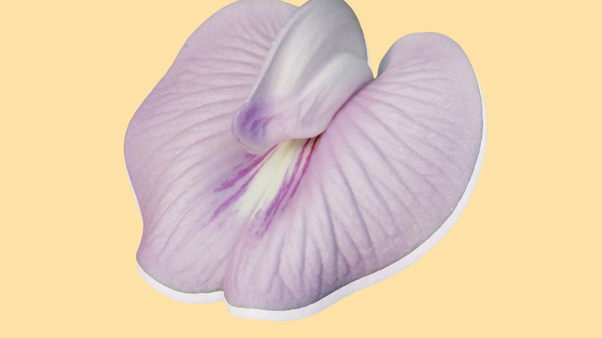 Labia puffing: What is it and why are people getting it done? | Marie ...