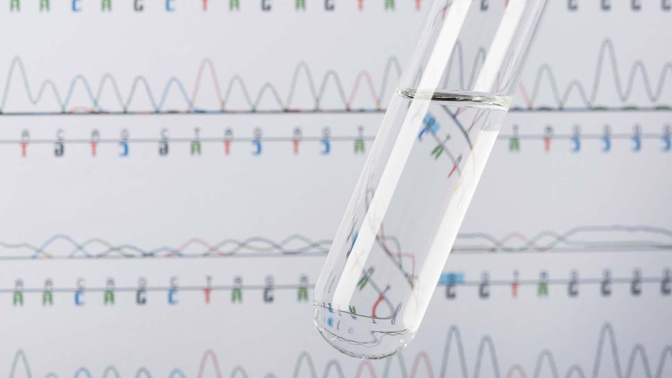 DNA Test Kits: Everything You Need to Know | Tom's Guide