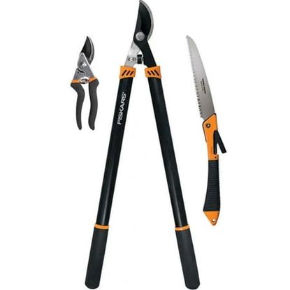 Simple steps to prune an orange tree: recommended by experts | Homes ...