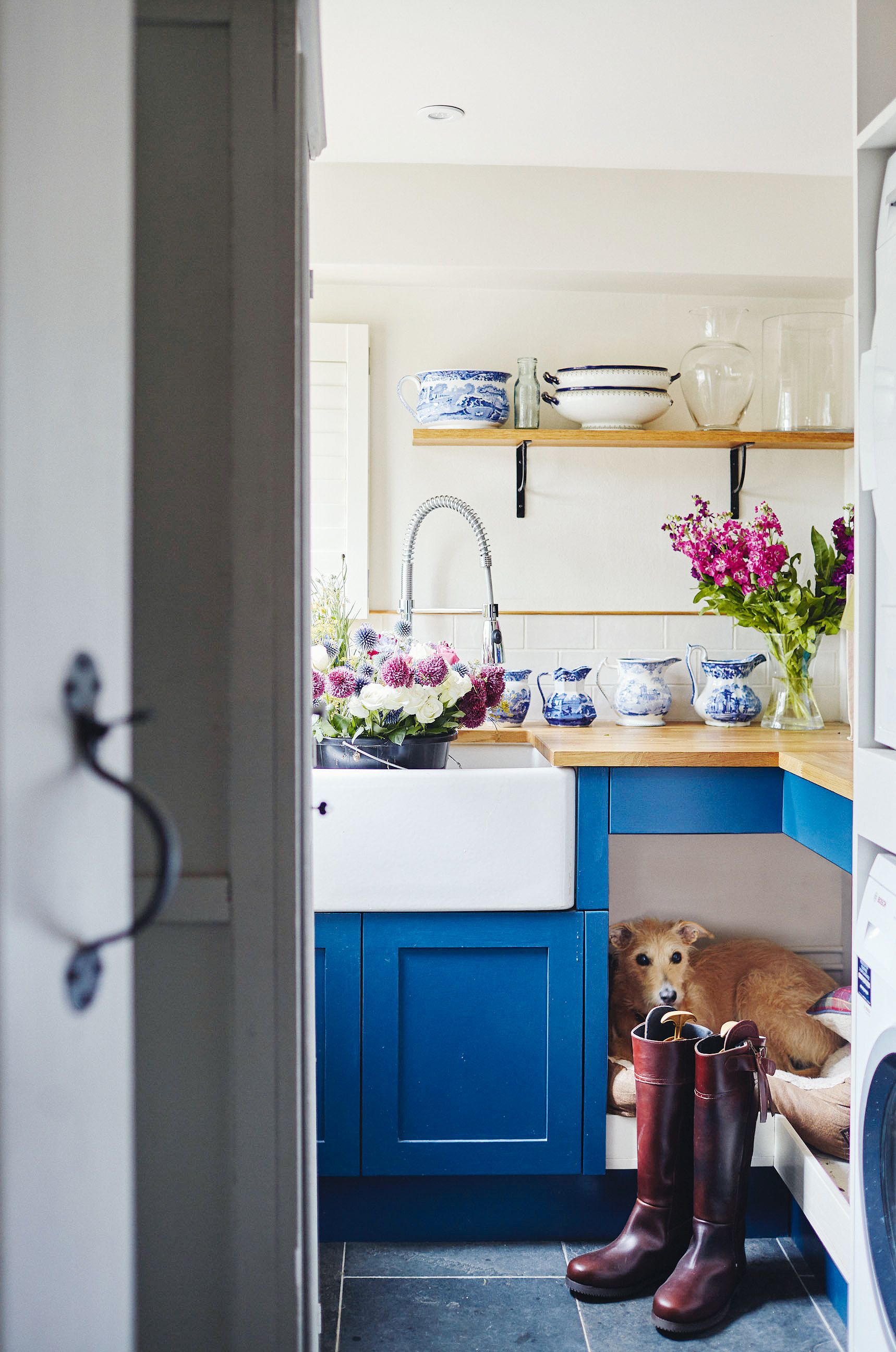 13 of the cutest dogs in the chicest homes | Real Homes