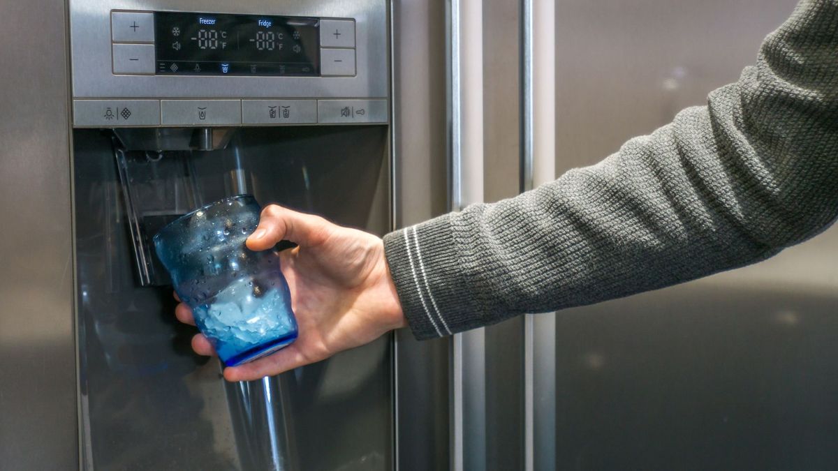 How to clean your ice maker | Tom's Guide