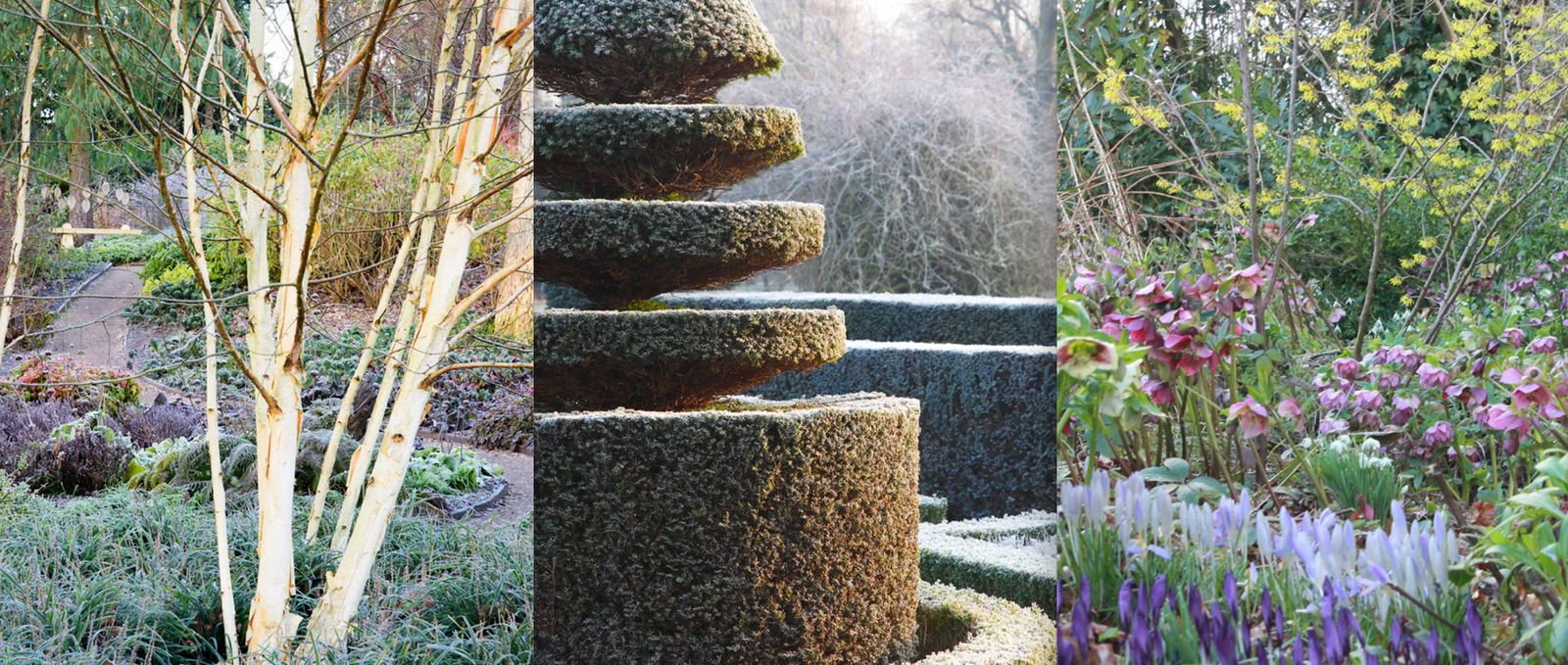 Winter garden ideas: 20 ways to a beautiful winter backyard | Homes and ...