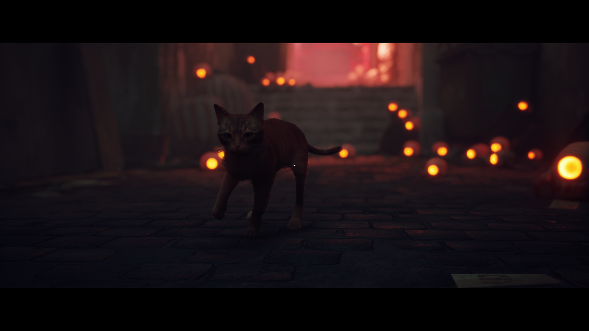 Stray (PC) review: Everybody wants to be a cat | Windows Central