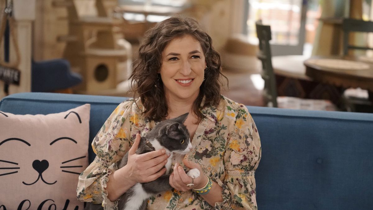 Call Me Kat season 3: release date and everything we know | What to Watch