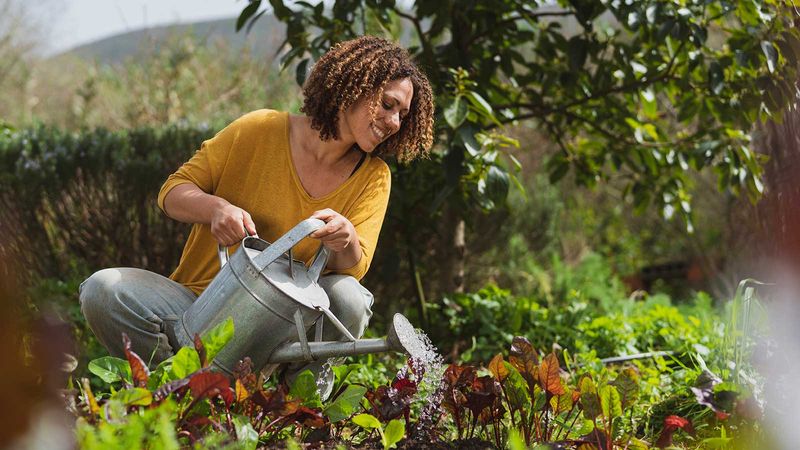 Articles by Holly Crossley, Senior Content Editor | Homes & Gardens