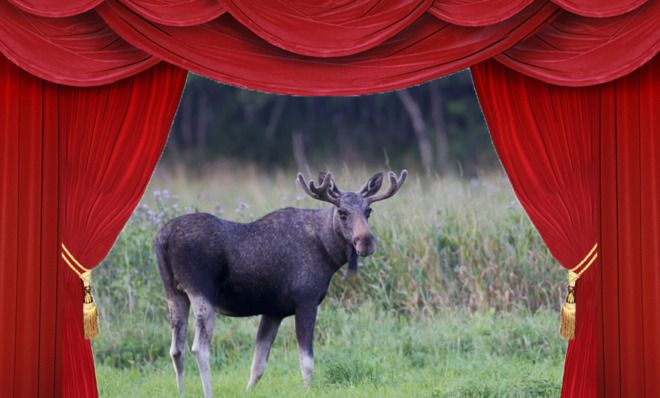 Articles by Jason Bittel | The Week