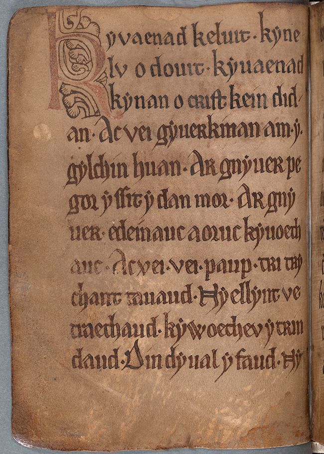 In Photos: Medieval Manuscript Reveals Ghostly Faces | Live Science