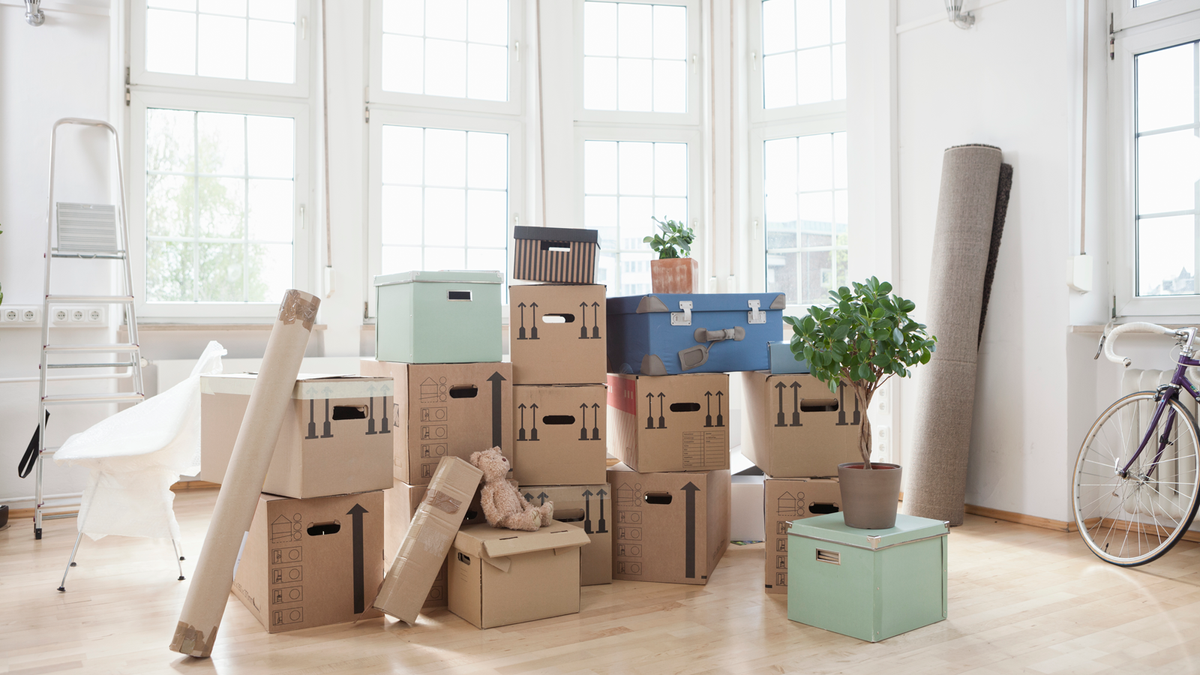 The top most commonly misplaced items during a house move revealed ...