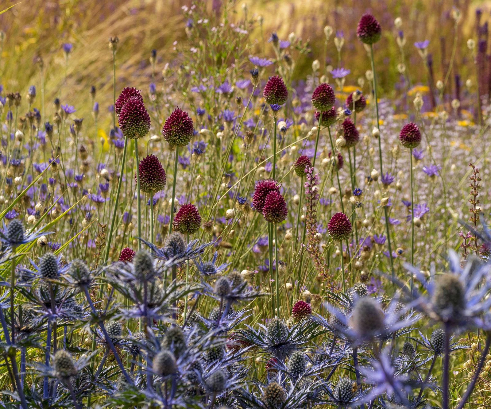 No-grass backyard ideas: 7 ways to switch out lawns | Homes and Gardens