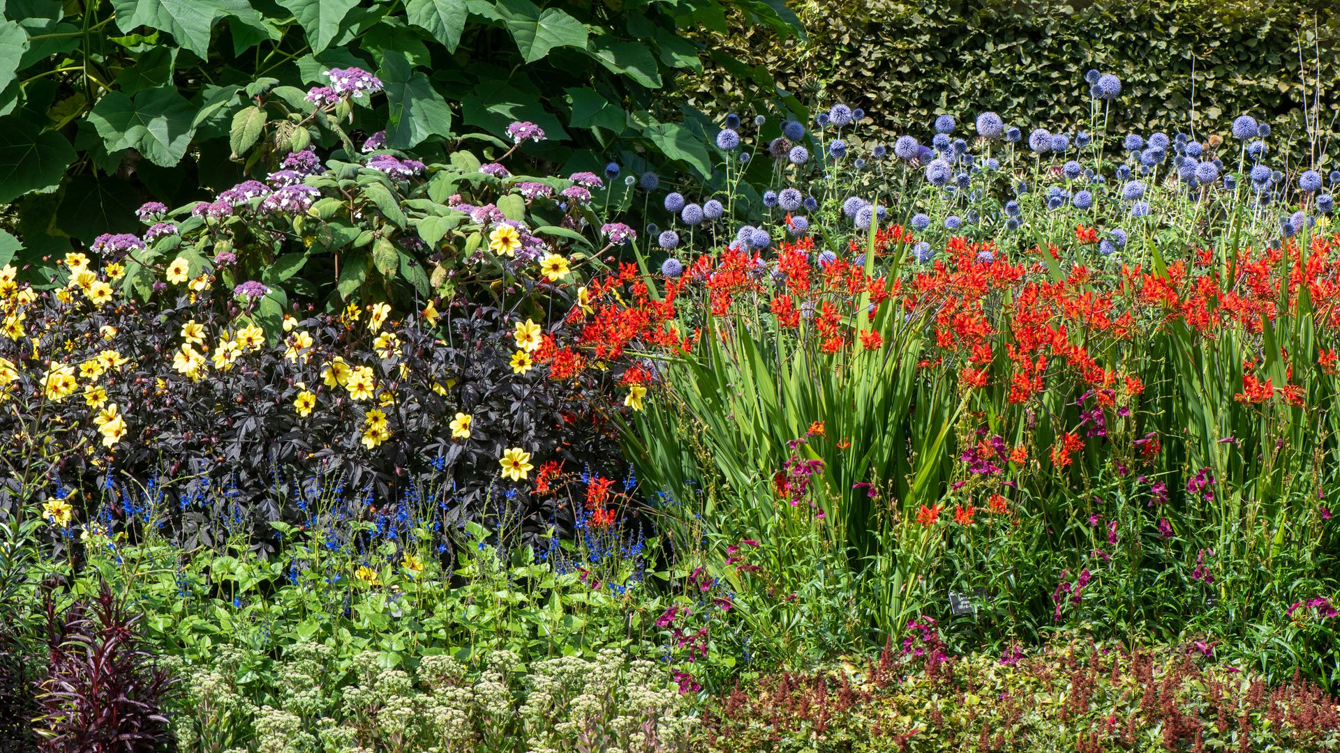Best summer bulbs: 10 bulbs to grow and planting advice | Homes and Gardens