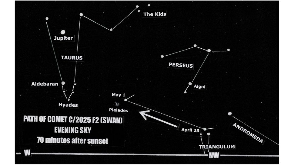 What to expect from the newfound Comet Swan: An observer's guide | Space